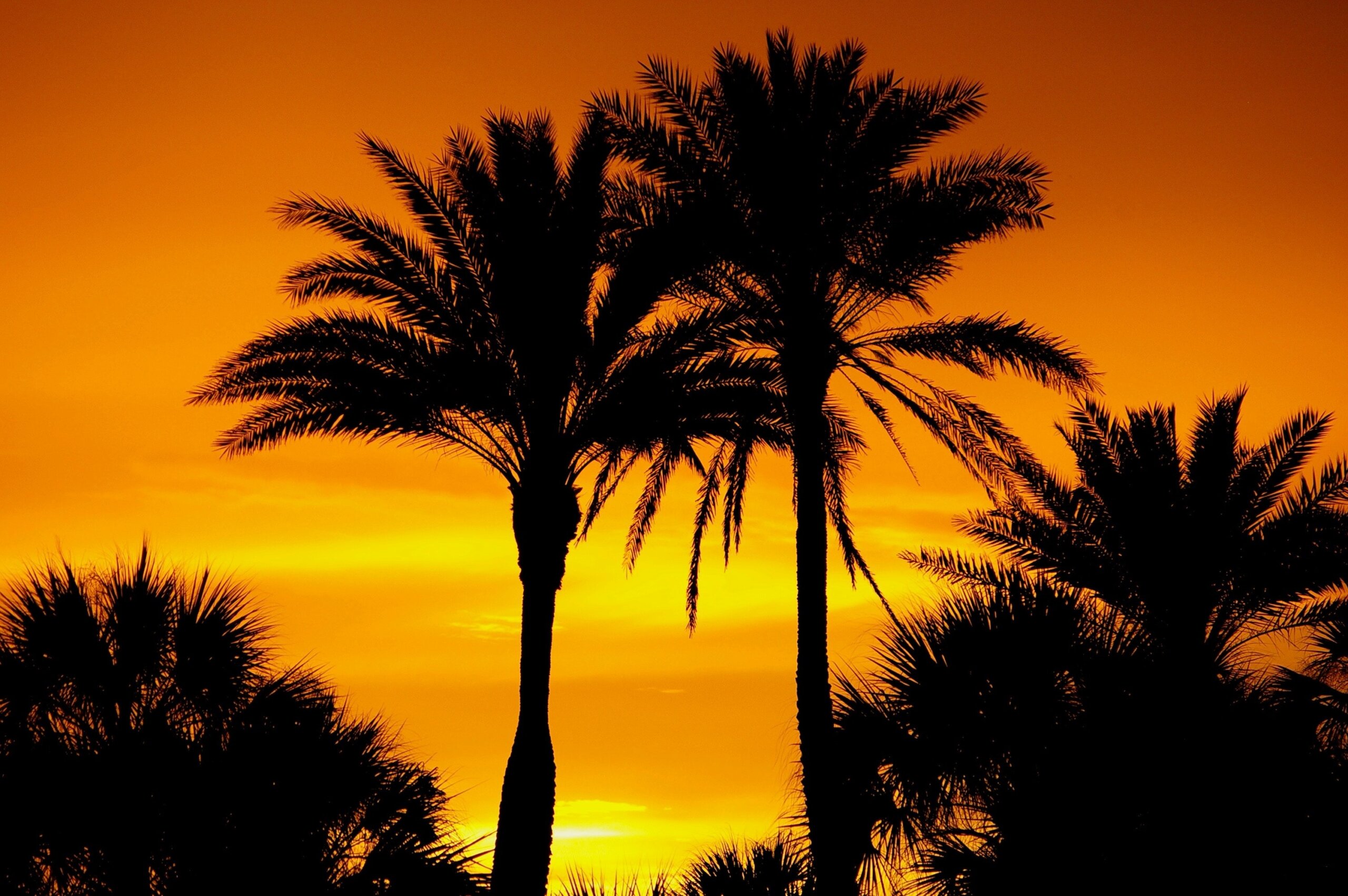 Navarre, FLORIDA | Deborah Morton