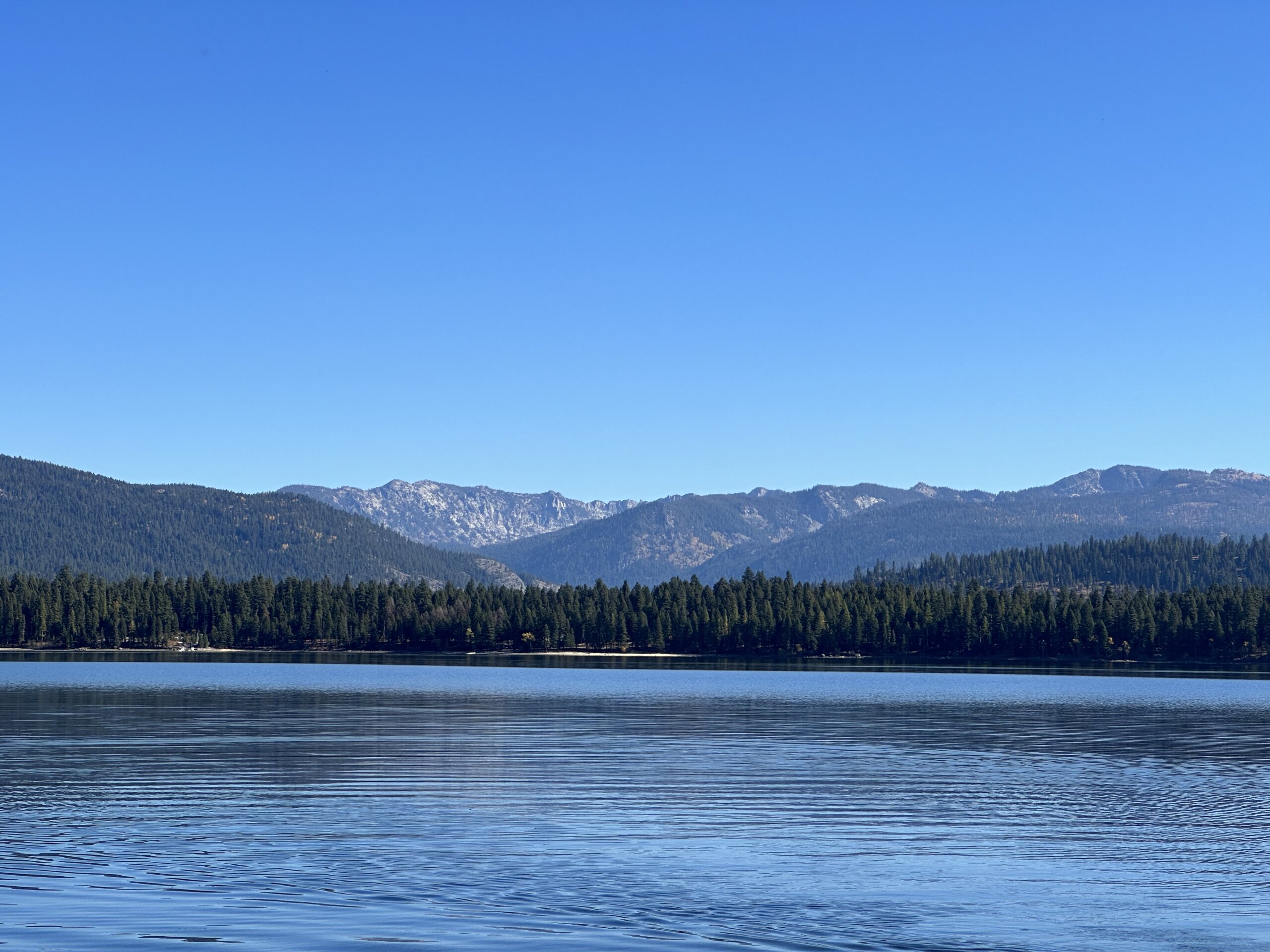 McCall Real Estate | Heather HaynesDesignated Broker